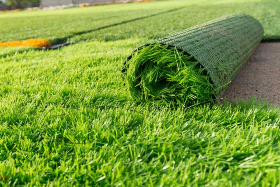 Keep Your Turf Alive And Thriving All Year Round
